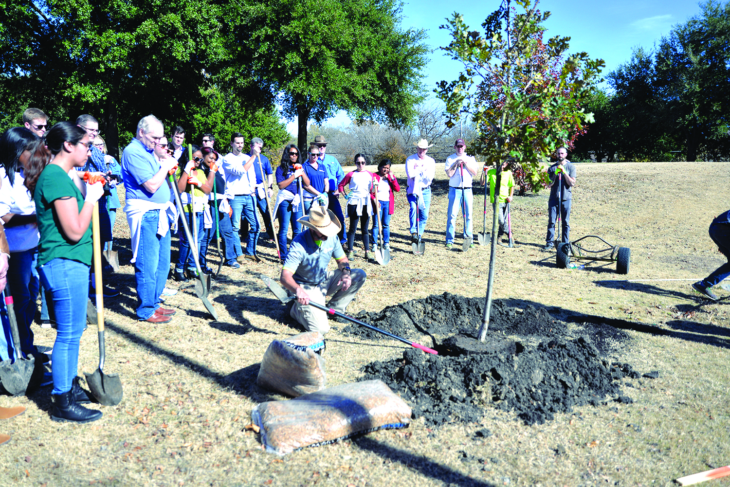 Celebrate Arbor Day Year-Round with City’s Tree Planting Program ...