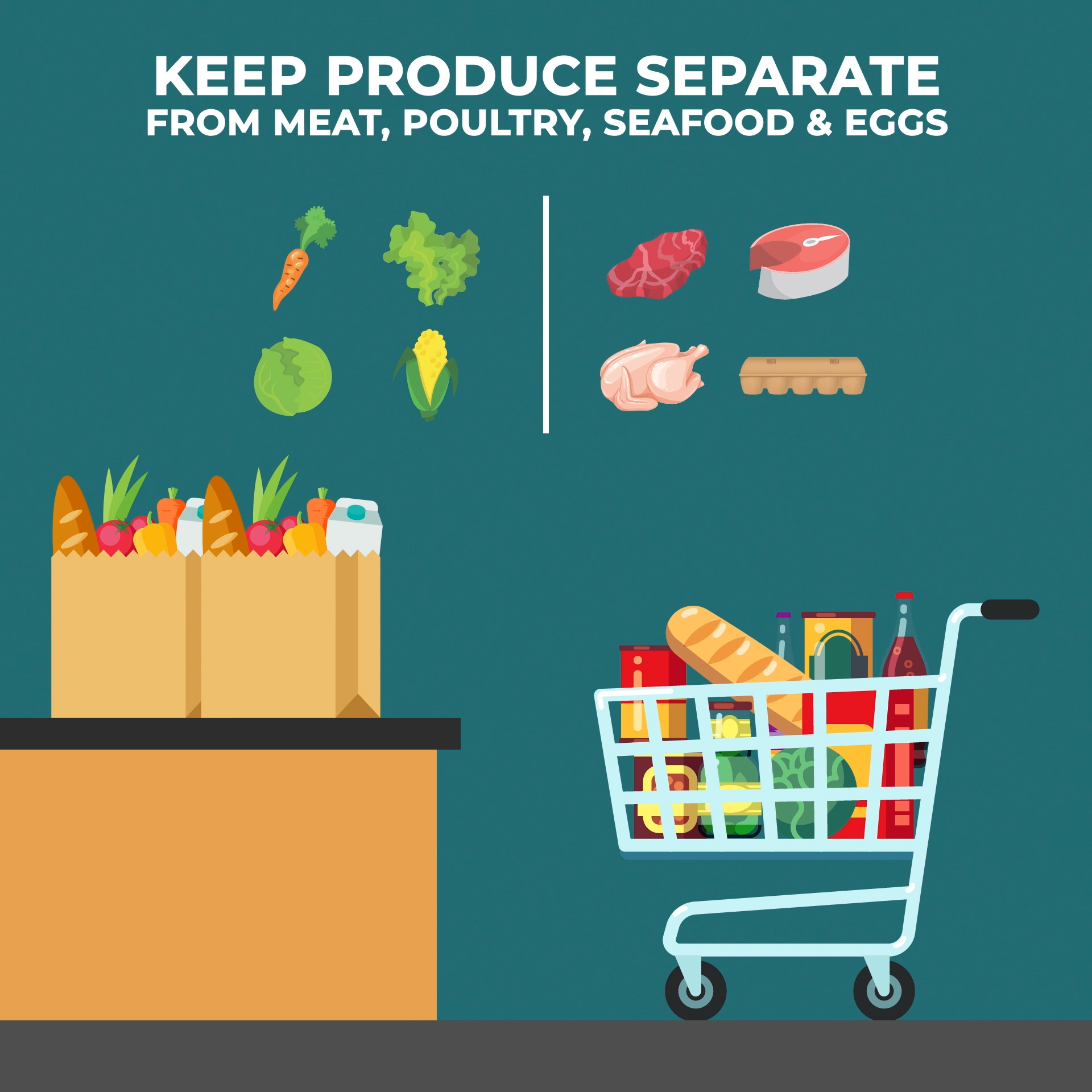 Food Safety Education Month: Separate | Richardson Today