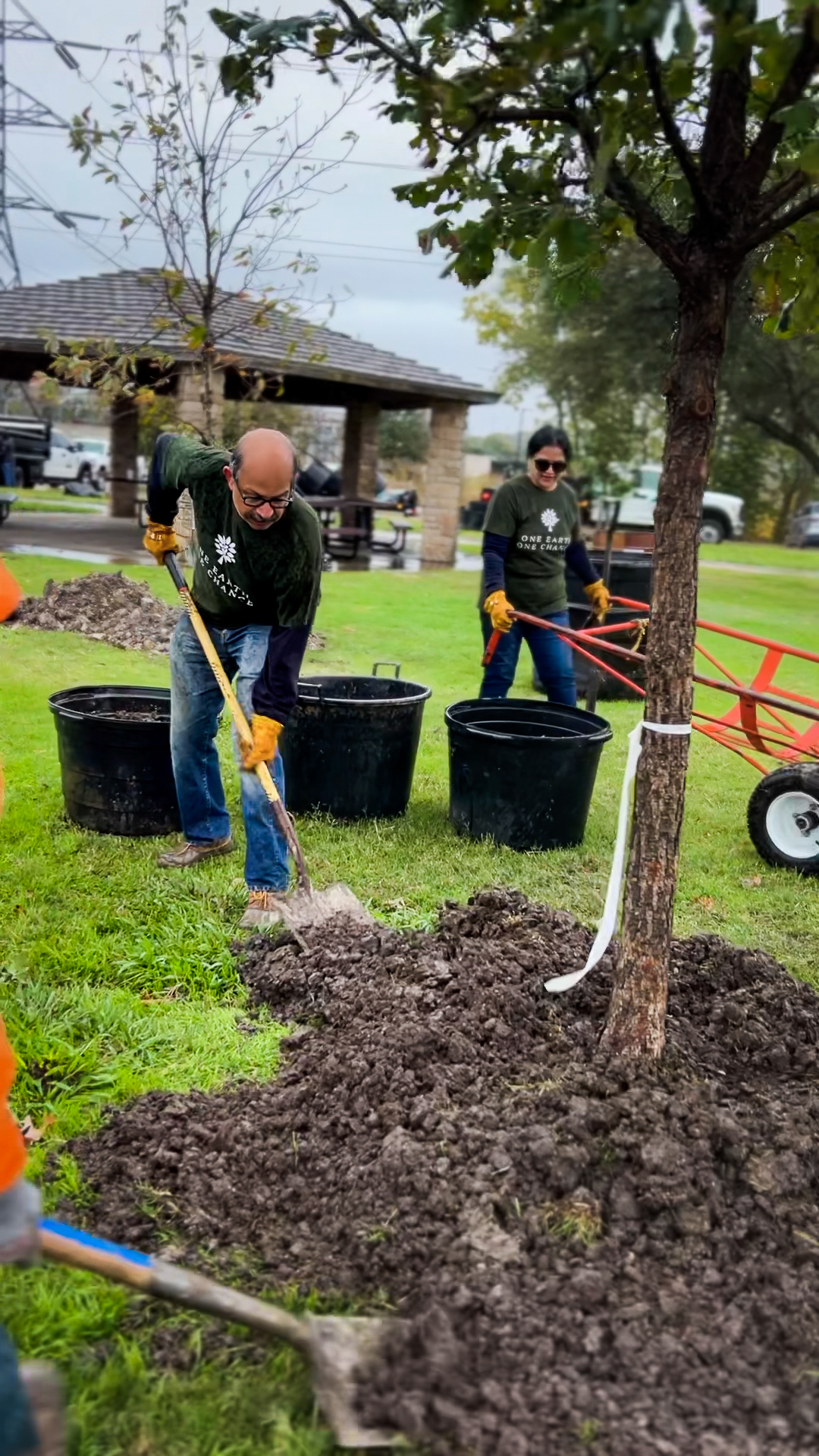 Volunteers Plant Trees at Lookout Park | Richardson Today
