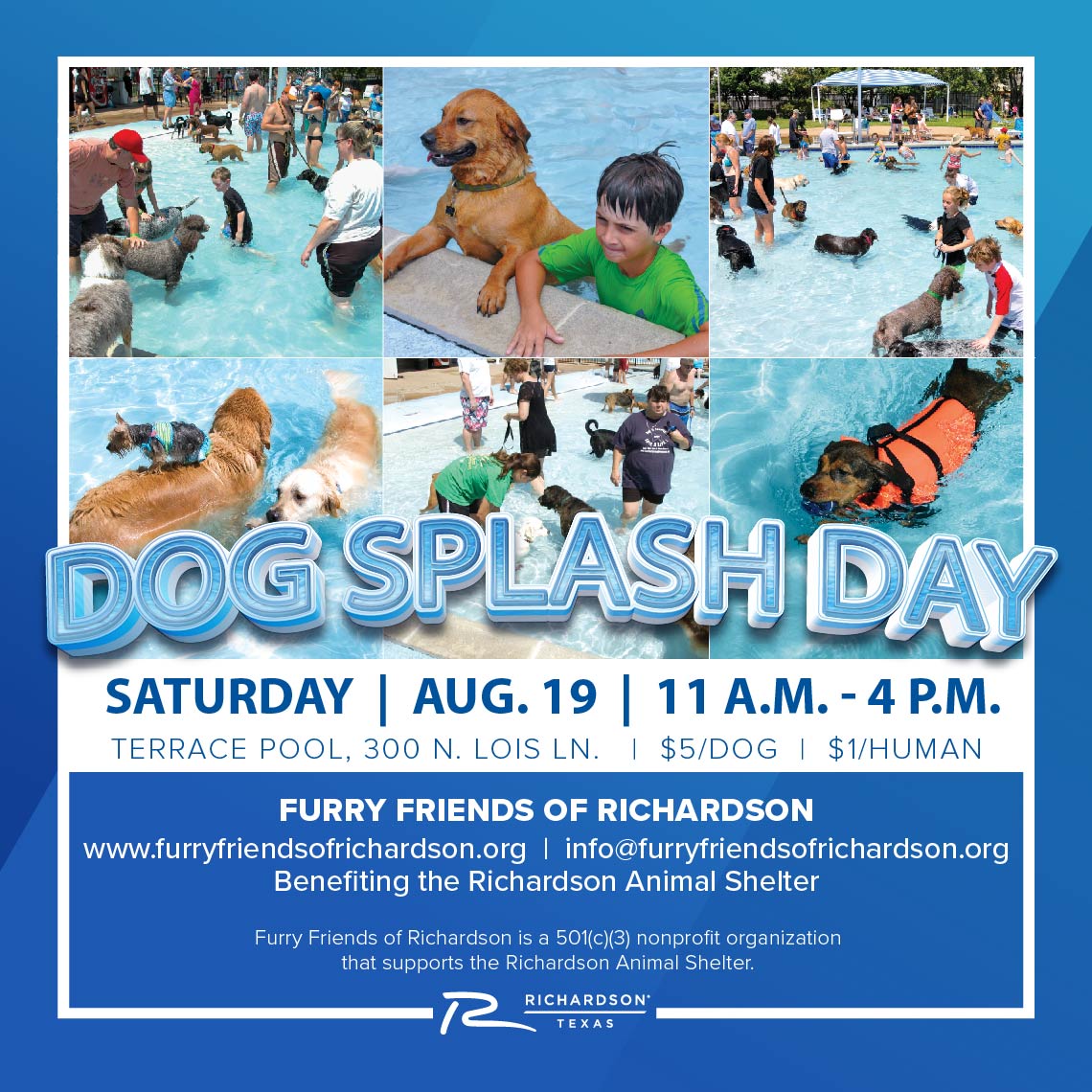 Dog Splash Day Set for Aug. 19 | Richardson Today
