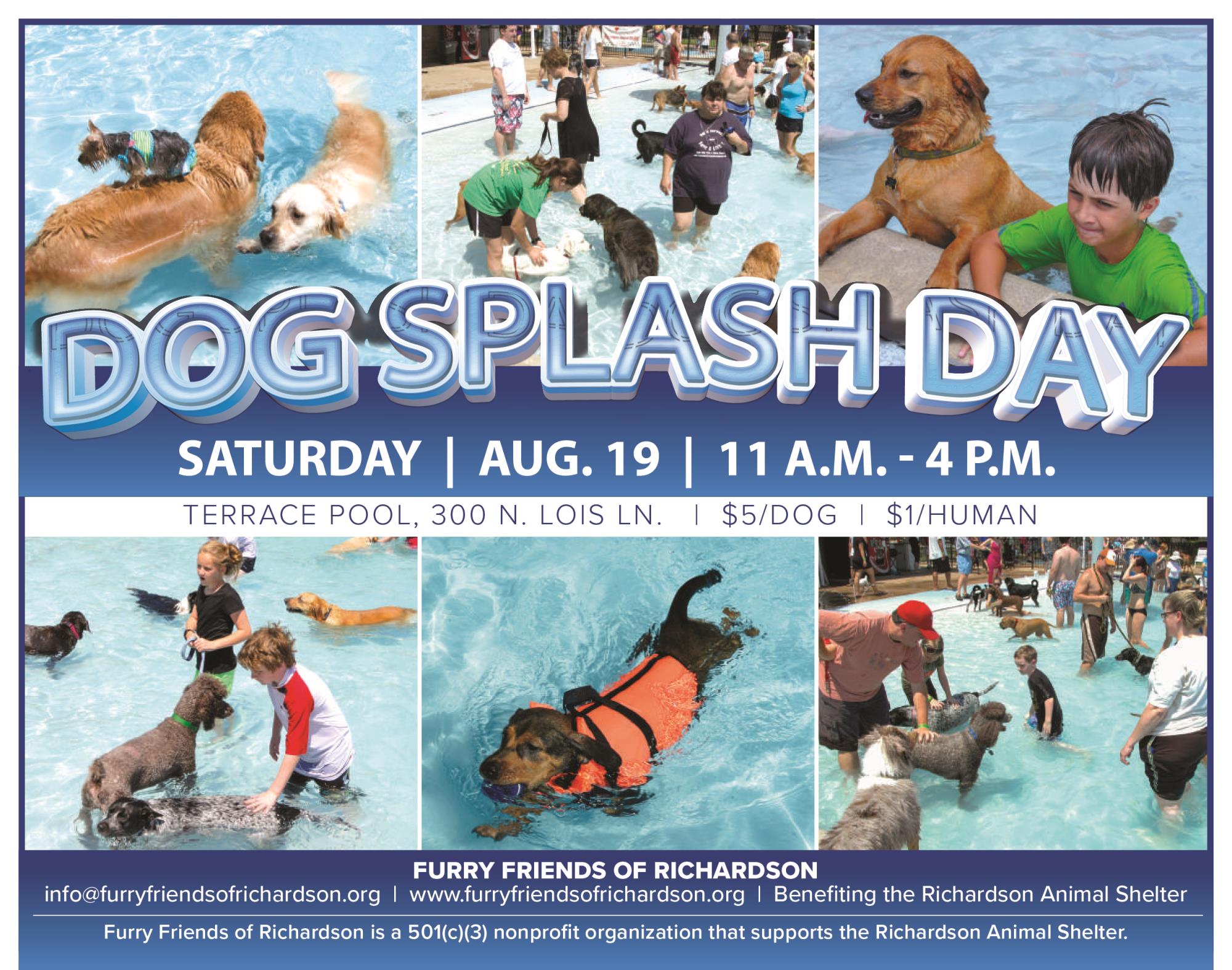 Dog Splash Day Tomorrow | Richardson Today