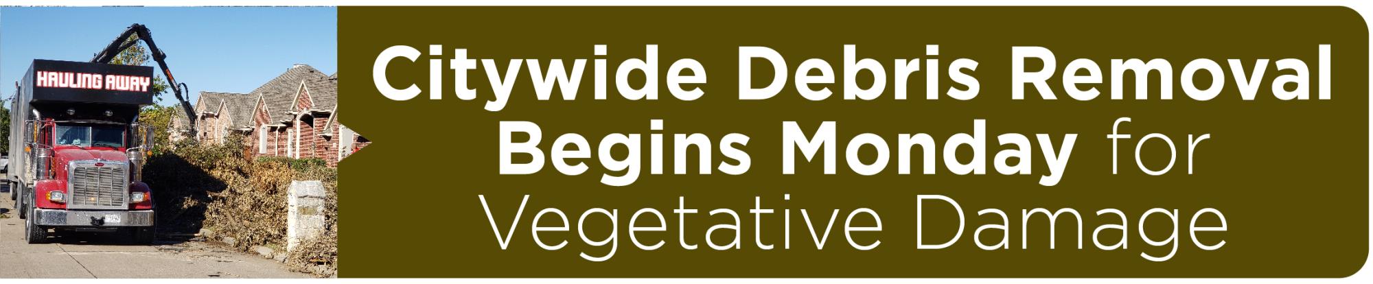 Citywide Debris Removal Begins Monday for Vegetative Damage ...